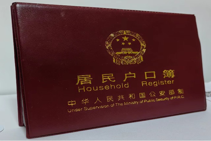 Rural dreams in urban Shanghai: Confronting the challenges of equal ...